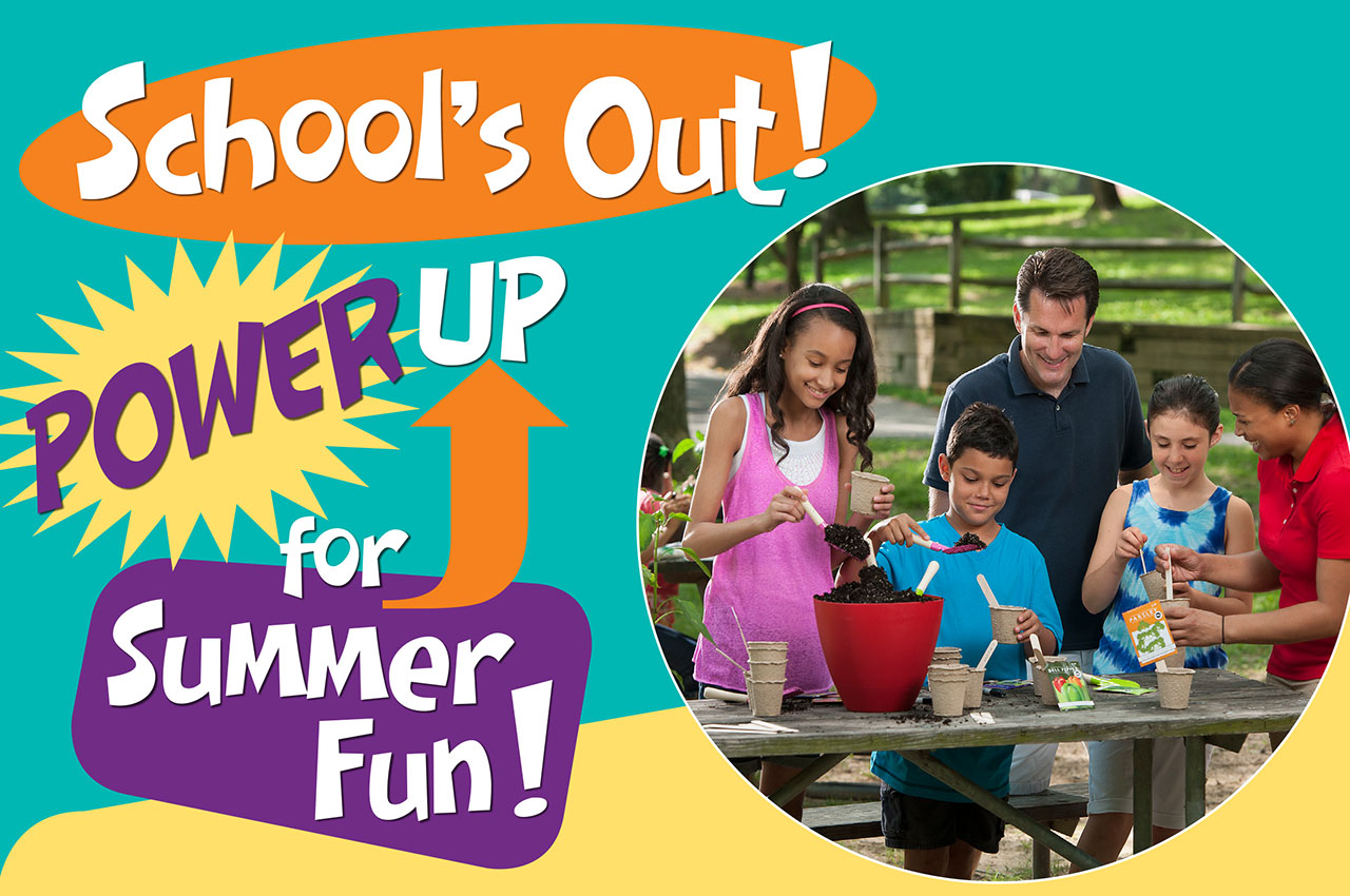 Free Summer Food Programs Available – Wynantskill Union Free School ...